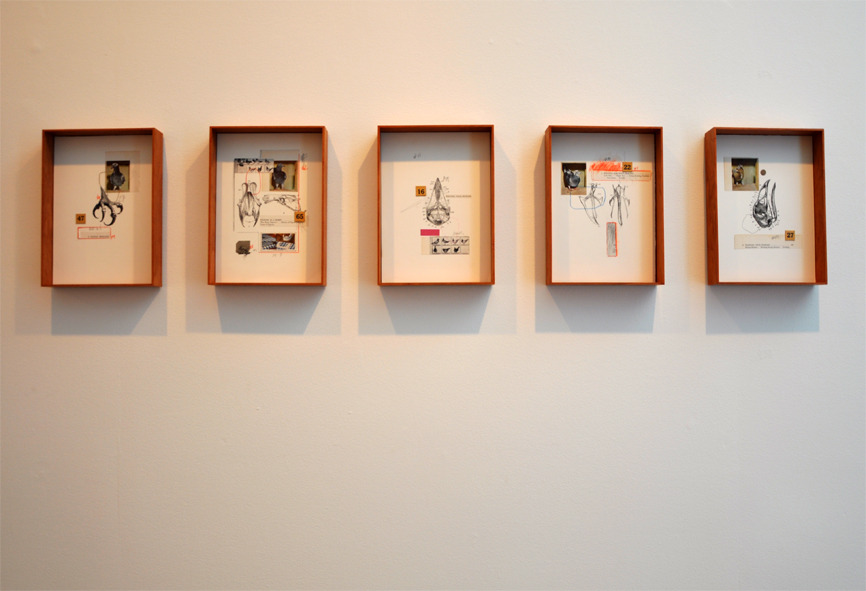 The Museum of nothing Special 2012 - christinewillcocks.com