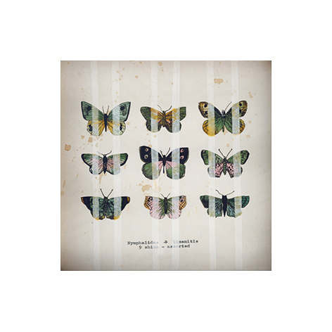 The Museum of nothing Special 2012 - christinewillcocks.com