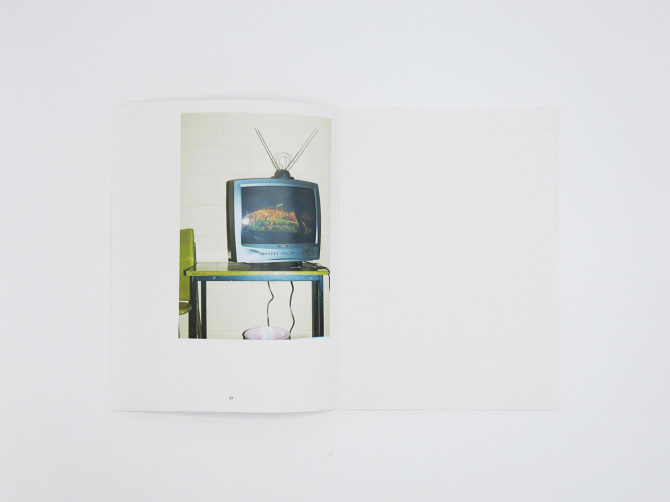 A LIGHT ON THE WALL - Perimeter Editions