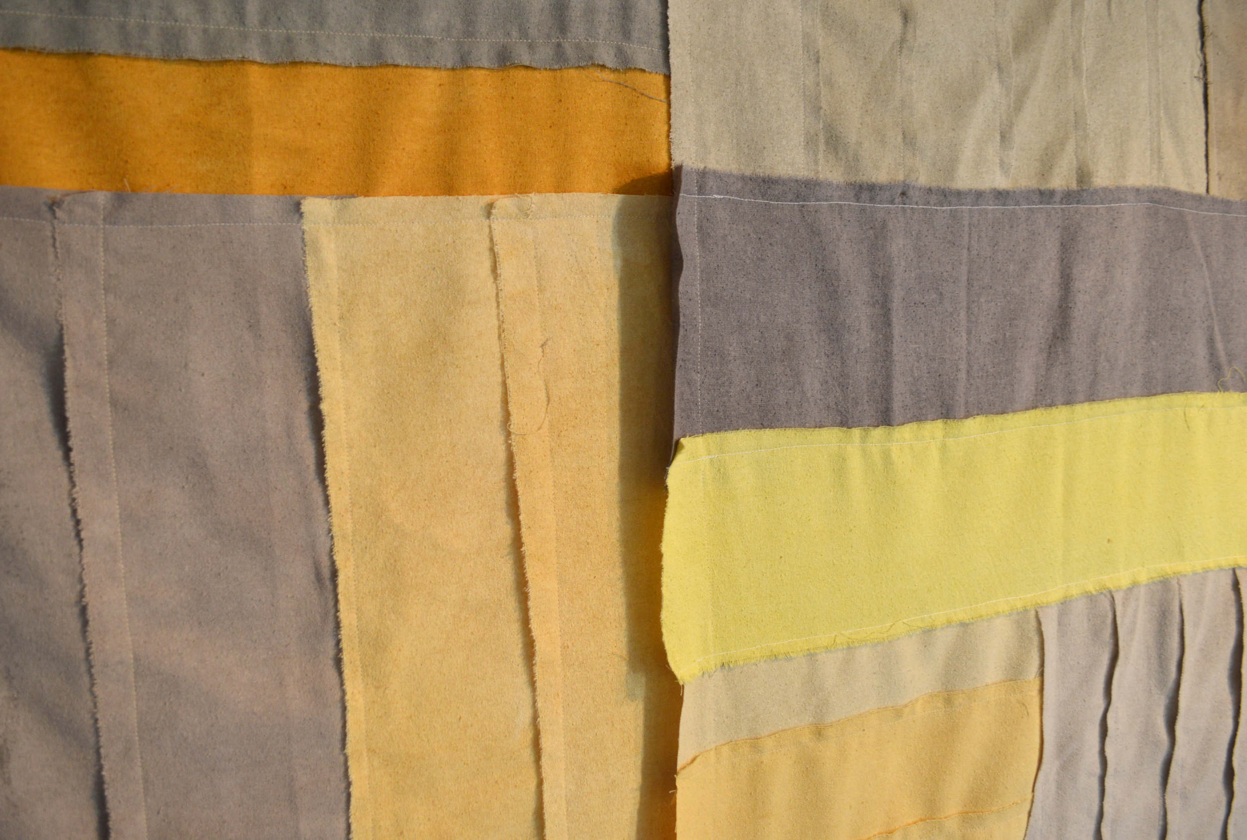 Taking Root: Binding Ties - Sofia V. Gonzalez