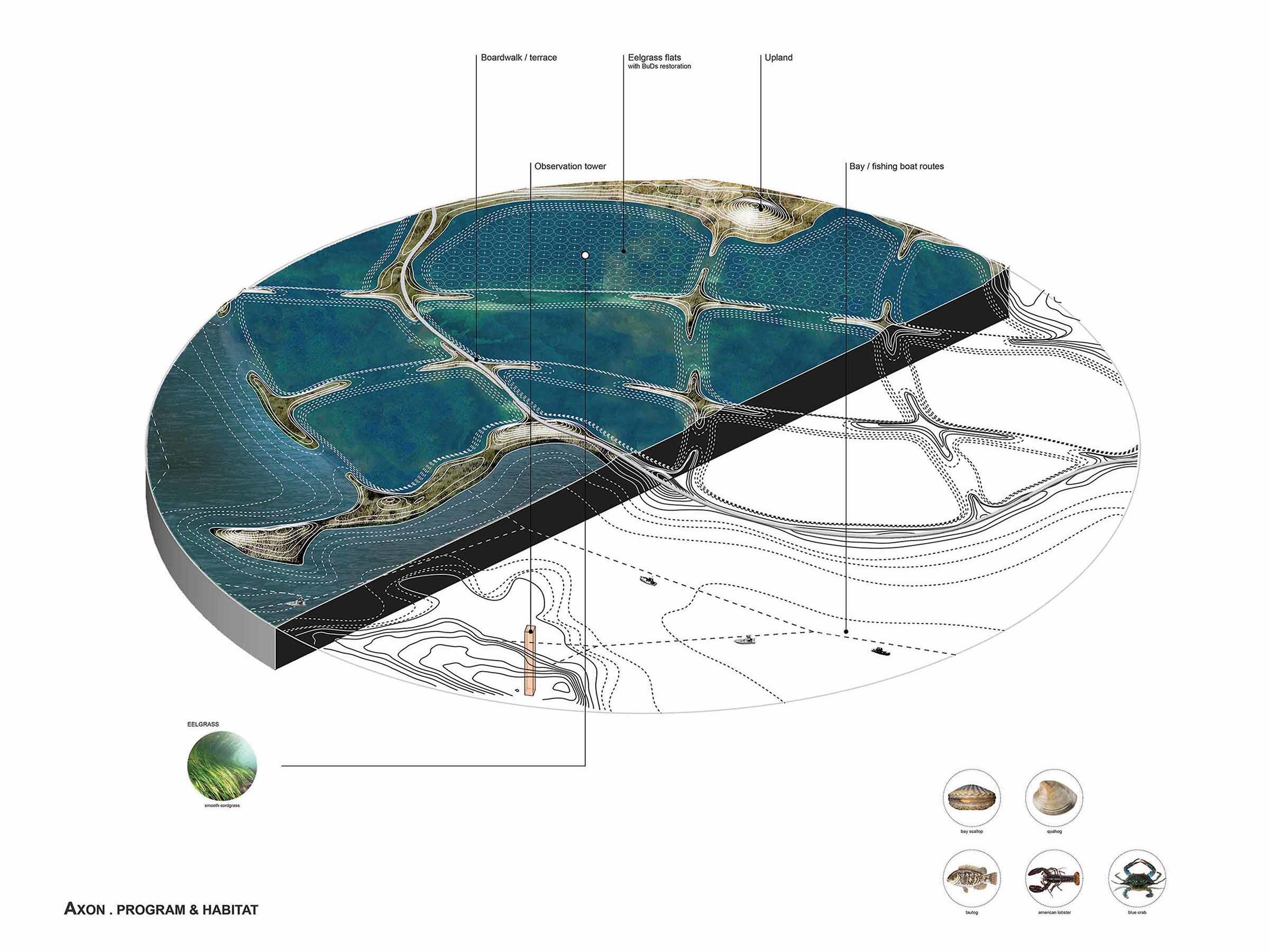 Ocean State - HengZhang l Design