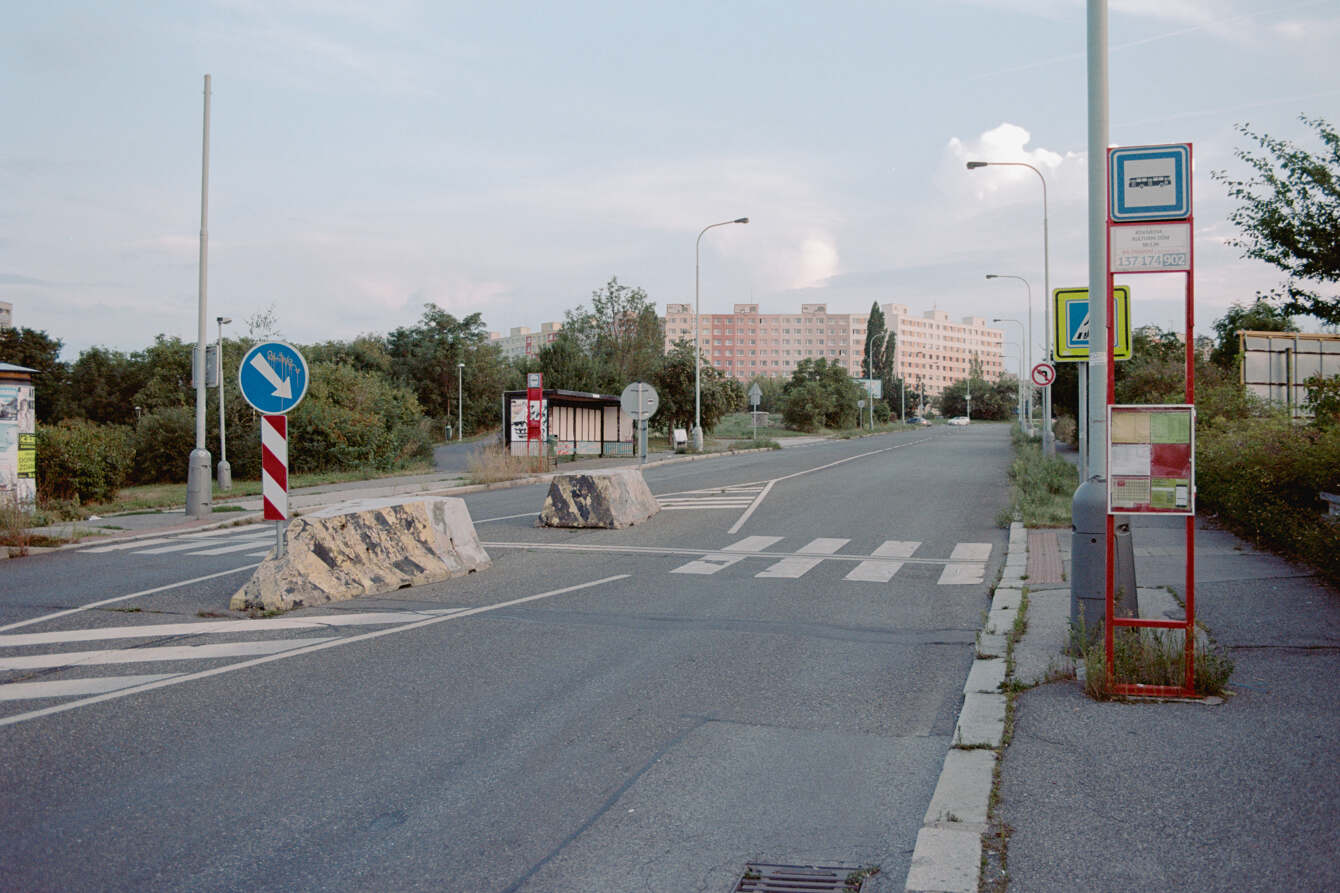 misc 2020 - ali scott