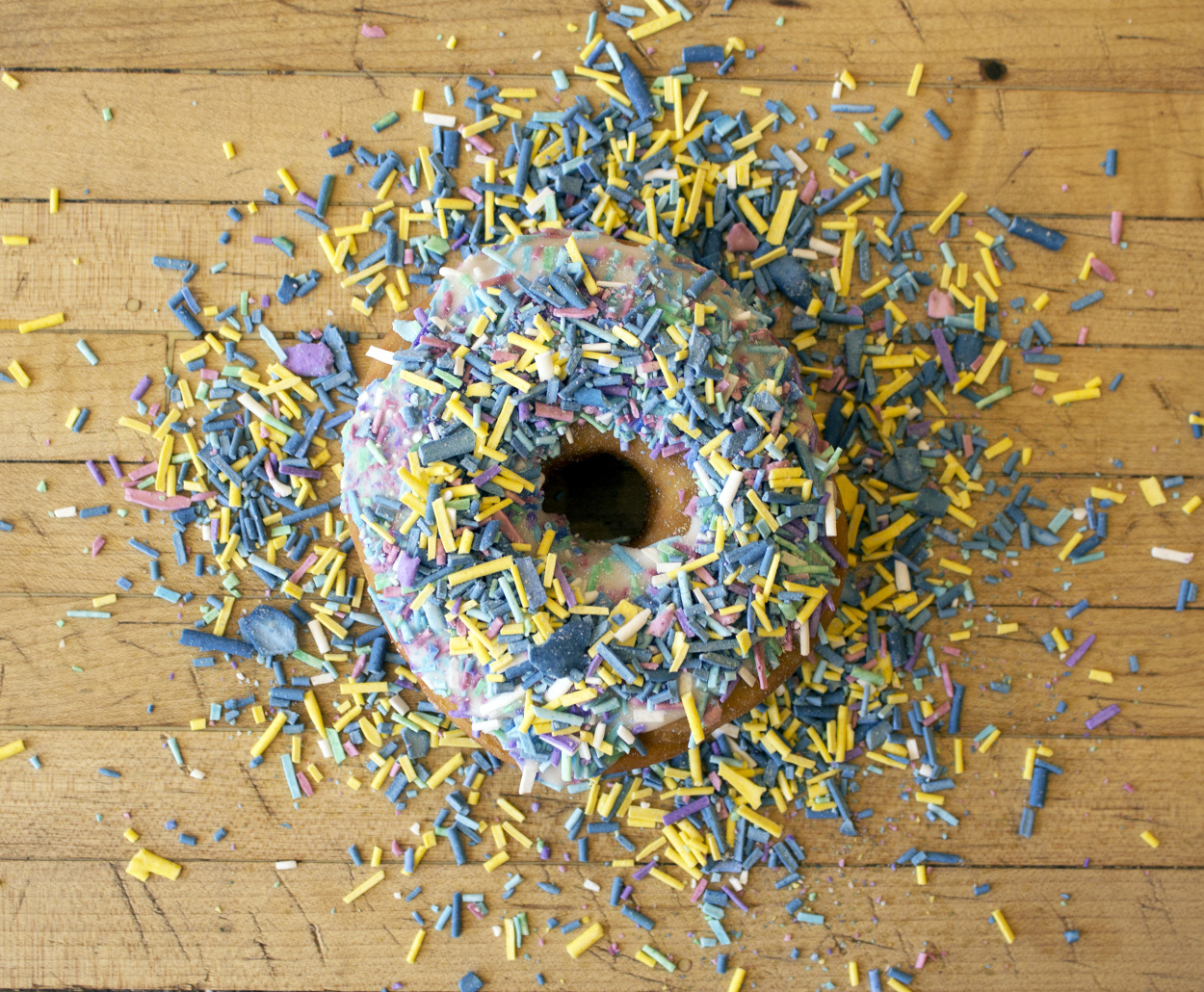 Harold's Doughnuts Social Media - Amy Jo Designs