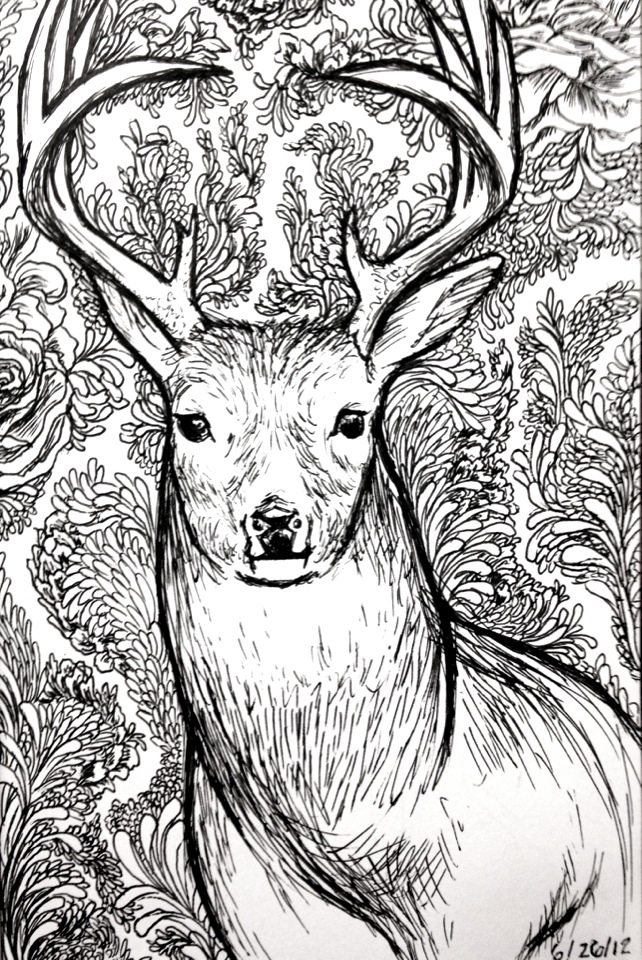 Colored Pencil & Line Artwork - Michelle Hébert