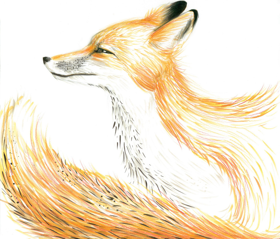 Colored Pencil & Line Artwork - Michelle Hébert