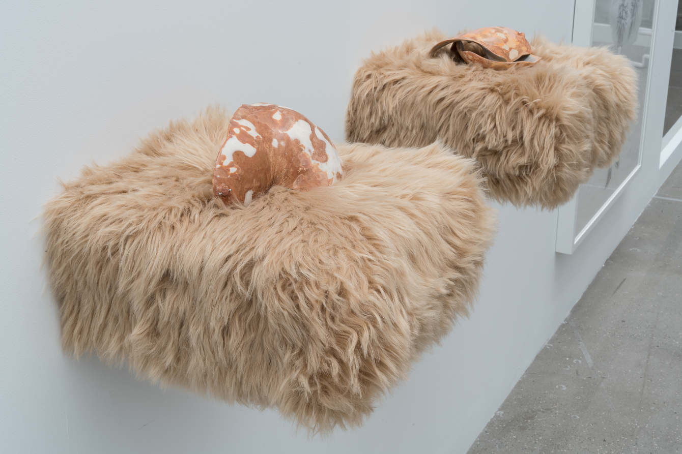 Forniphilia I, II 2018 - jesfan