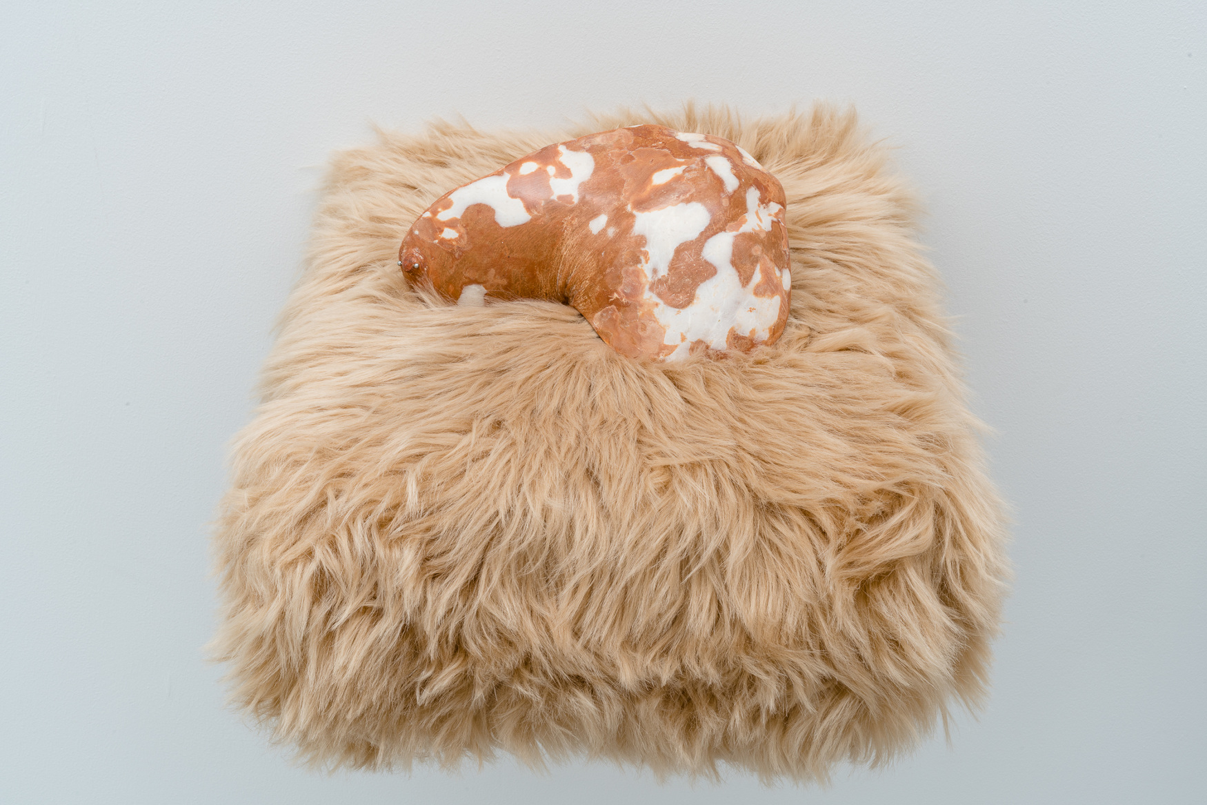 Forniphilia I, II 2018 - jesfan