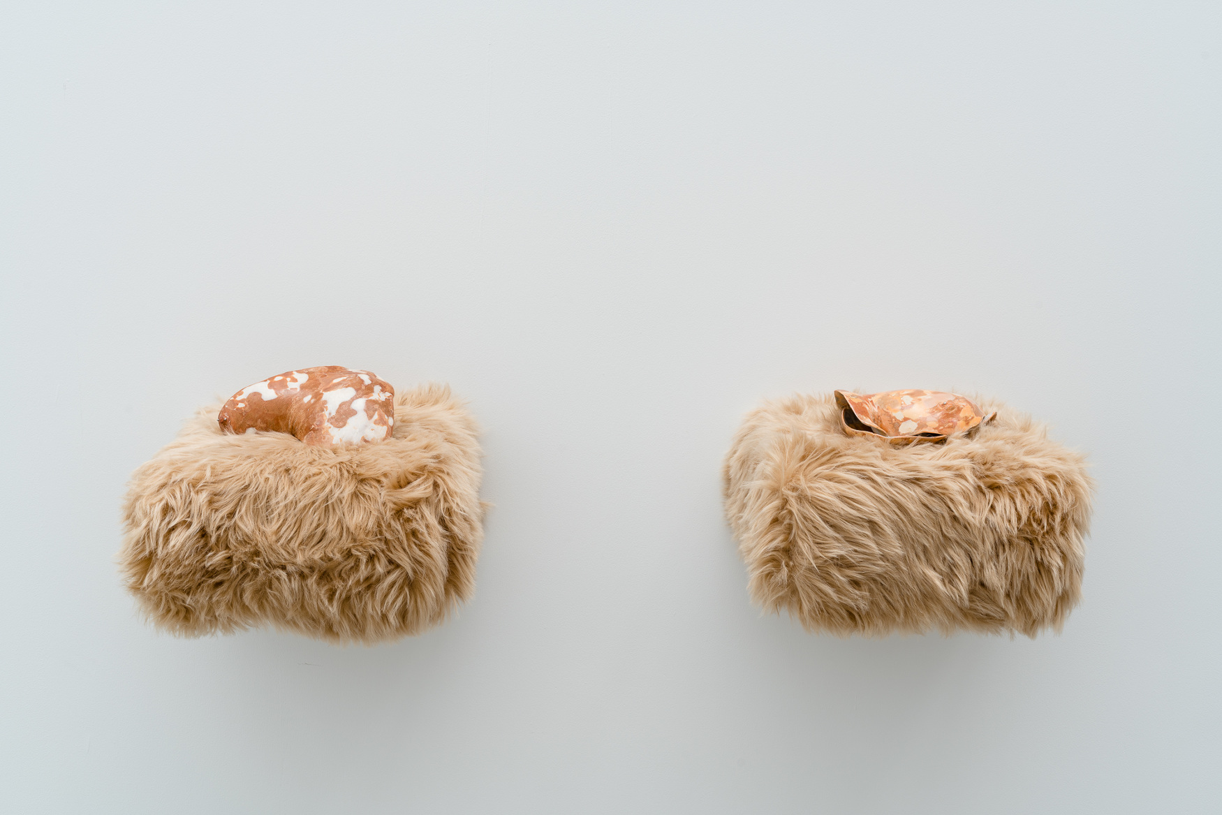 Forniphilia I, II 2018 - jesfan