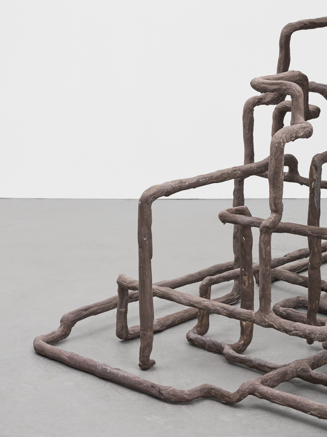 Cross Section (Right Leg Muscle I), 2023 - jesfan