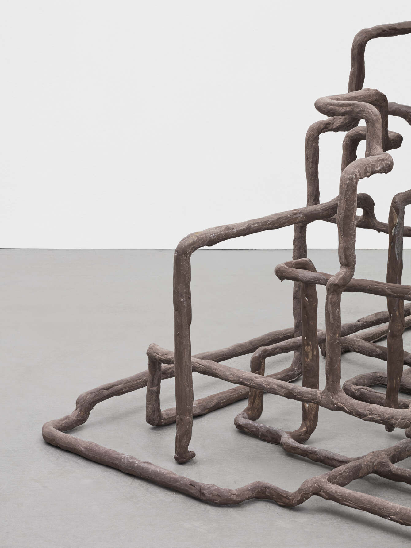 Cross Section (Right Leg Muscle I), 2023 - jesfan