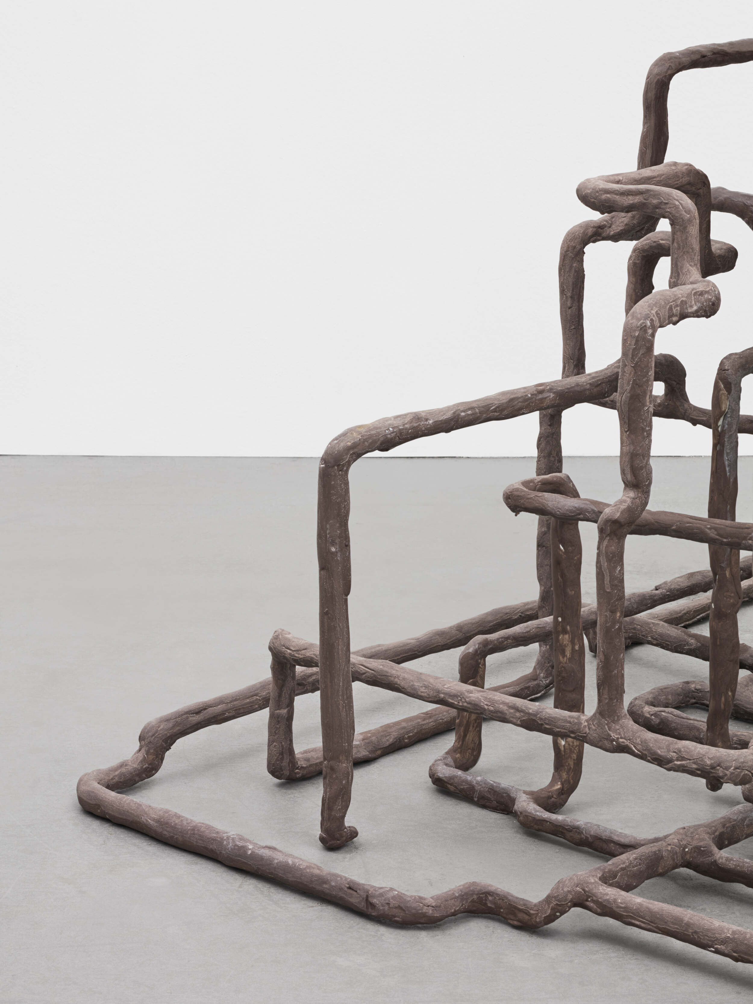 Cross Section (Right Leg Muscle I), 2023 - jesfan