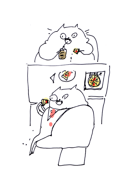 Cats on bikes (and other Summer time activities) - The Dancing Cat