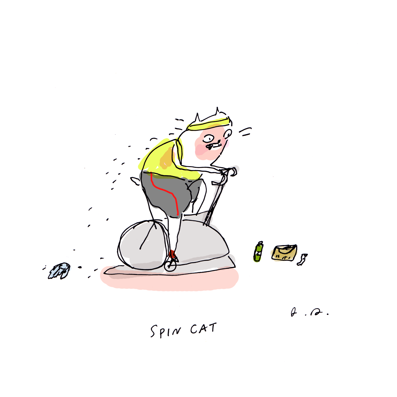 Cats on bikes (and other Summer time activities) - The Dancing Cat