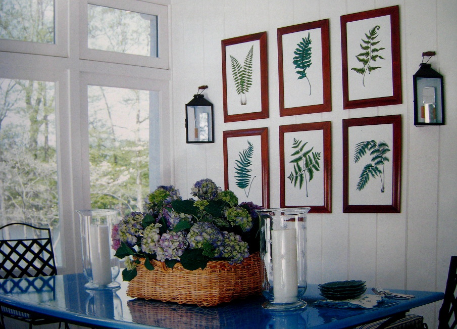 FERN BOTANICALS - www.ericdbeare.com