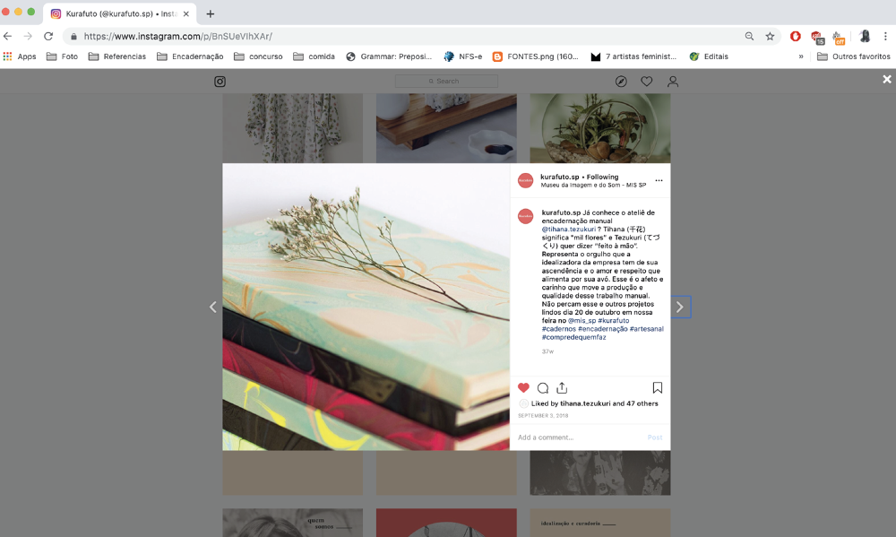 Portfólio Artístico - Dani Akemi