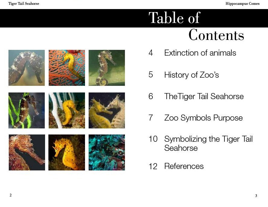 Zoo Symbols - shelbydesigns