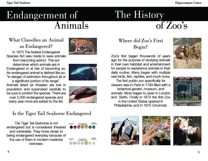 Zoo Symbols - shelbydesigns