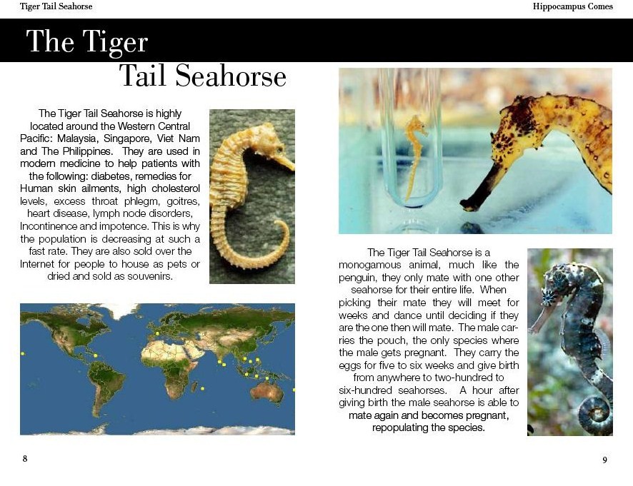 Zoo Symbols - shelbydesigns