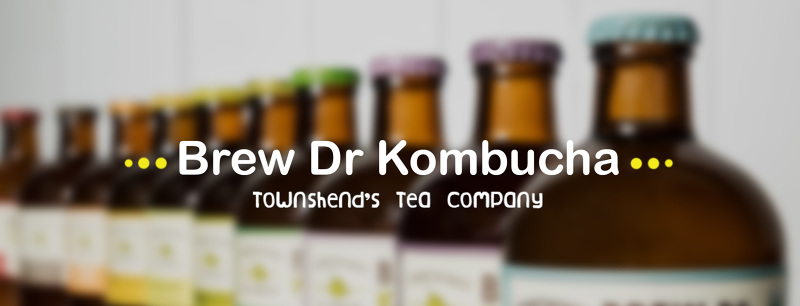 Brew Dr Kombucha: Ad Campaign - Kevin E. Yates Portfolio