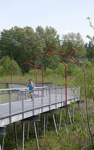 Trace - Jill Anholt Studio