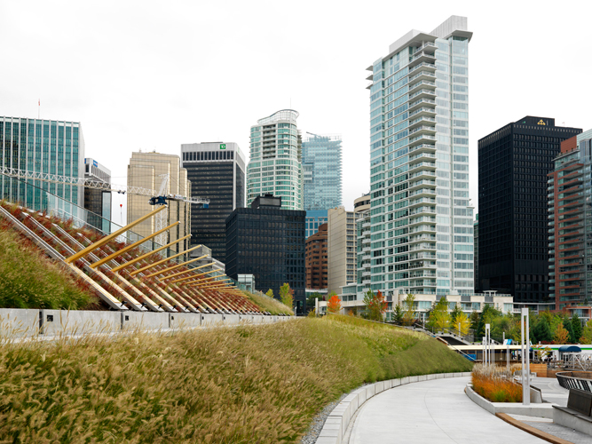 Line of Work - Jill Anholt Studio