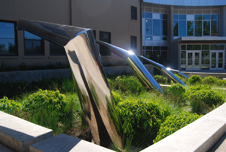 Fluid Movement - Jill Anholt Studio