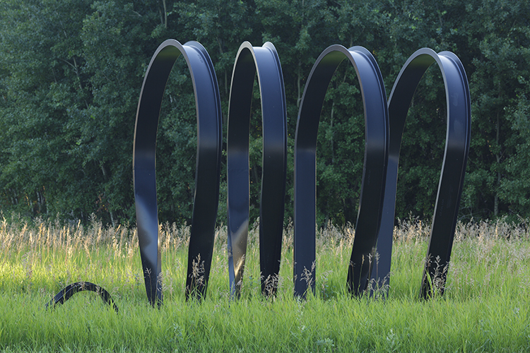 Moose Jaw Trail - Jill Anholt Studio