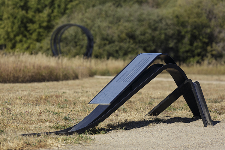 Moose Jaw Trail - Jill Anholt Studio