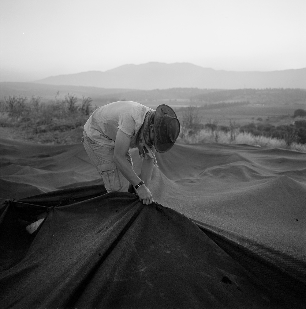 We Own This Land (ongoing) - Aviad Tal