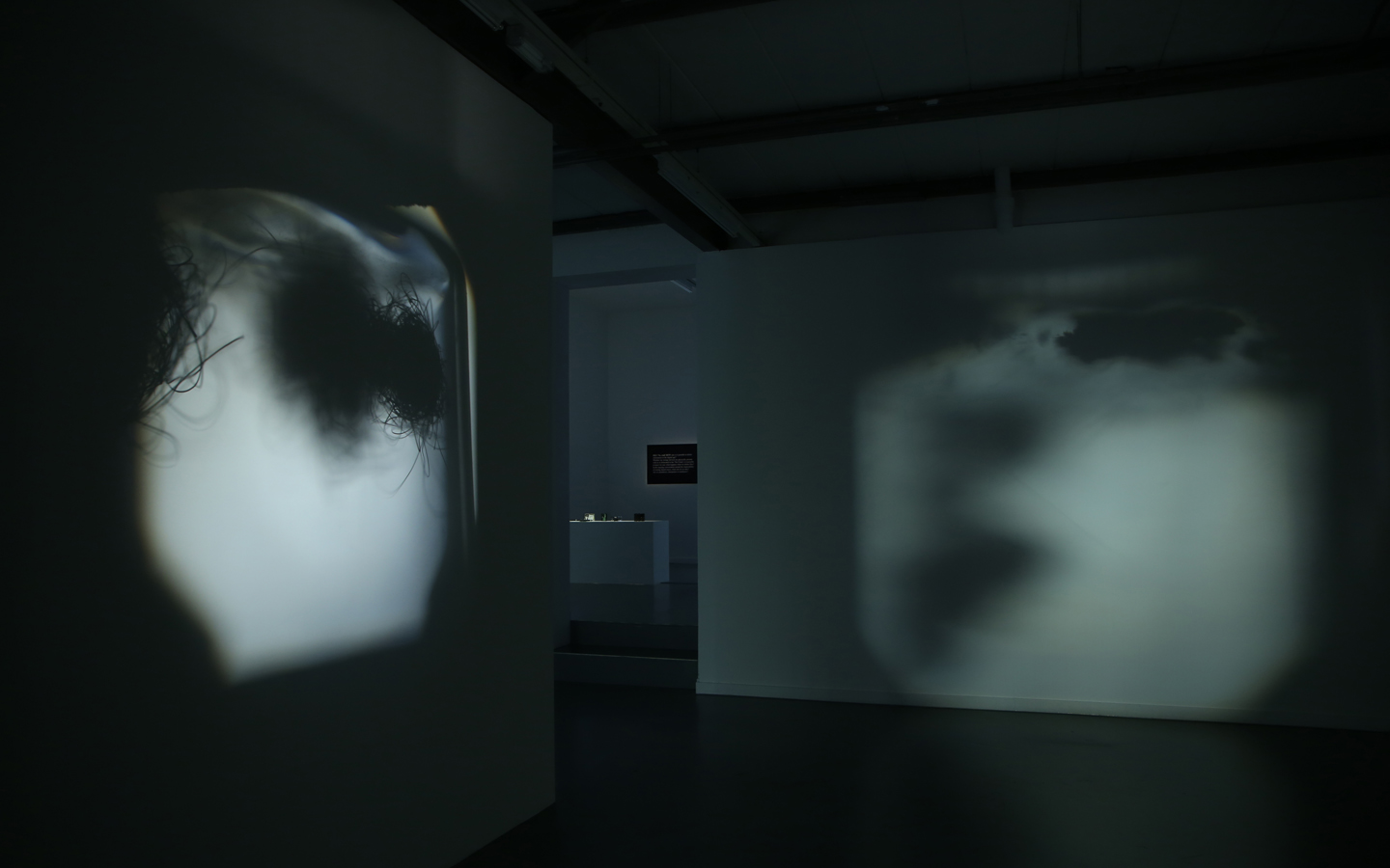 The Dust Room - Nan.W