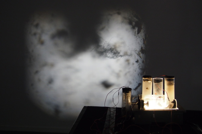 The Dust Room - Nan.W