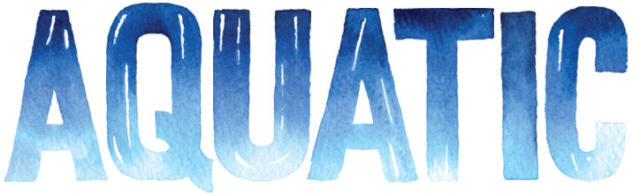 Lettering - Stephanie Kubo