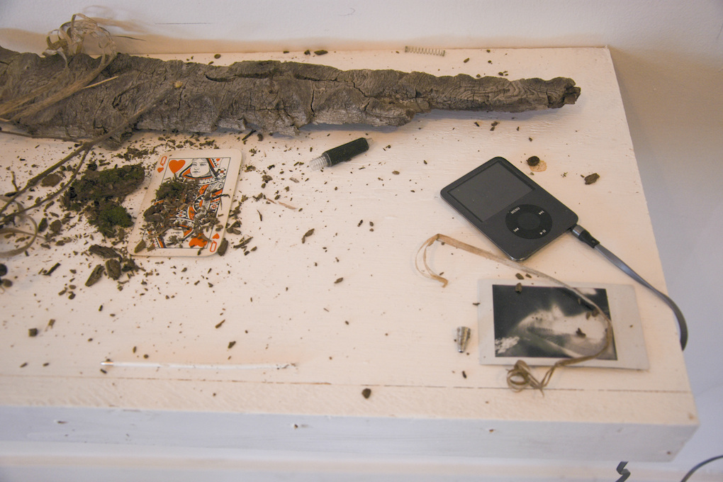 Hibernaculum - Corie Waugh