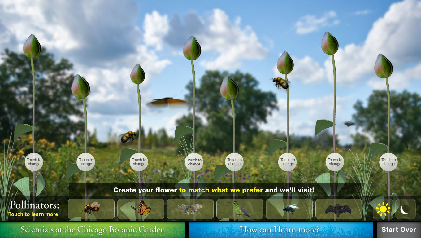 Plant Science Kiosks - Mark Rattin: Work Samples