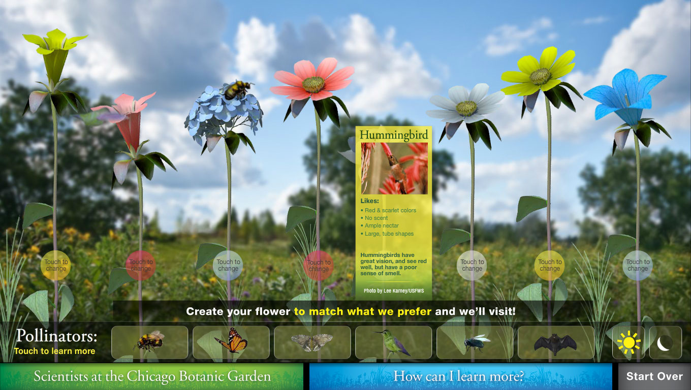 Plant Science Kiosks - Mark Rattin: Work Samples