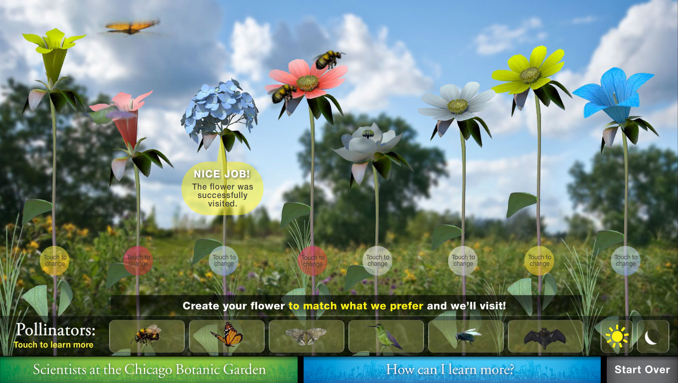 Plant Science Kiosks - Mark Rattin: Work Samples