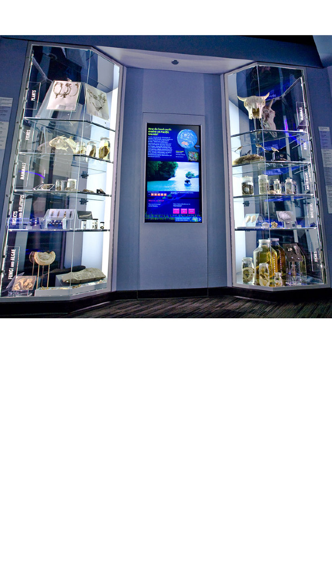 Field Research Kiosk - Mark Rattin: Work Samples