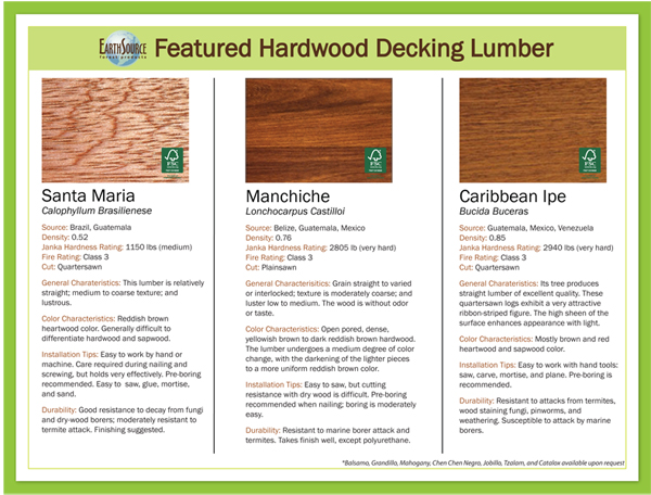 2D Design - Joanna Salem