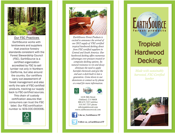 2D Design - Joanna Salem