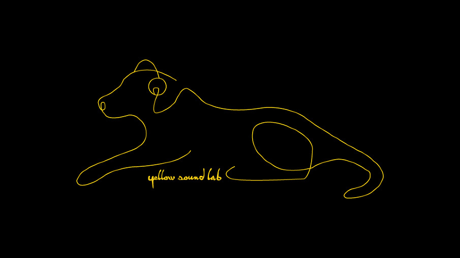 YELLOW SOUND LAB Logo - Wayne Robins