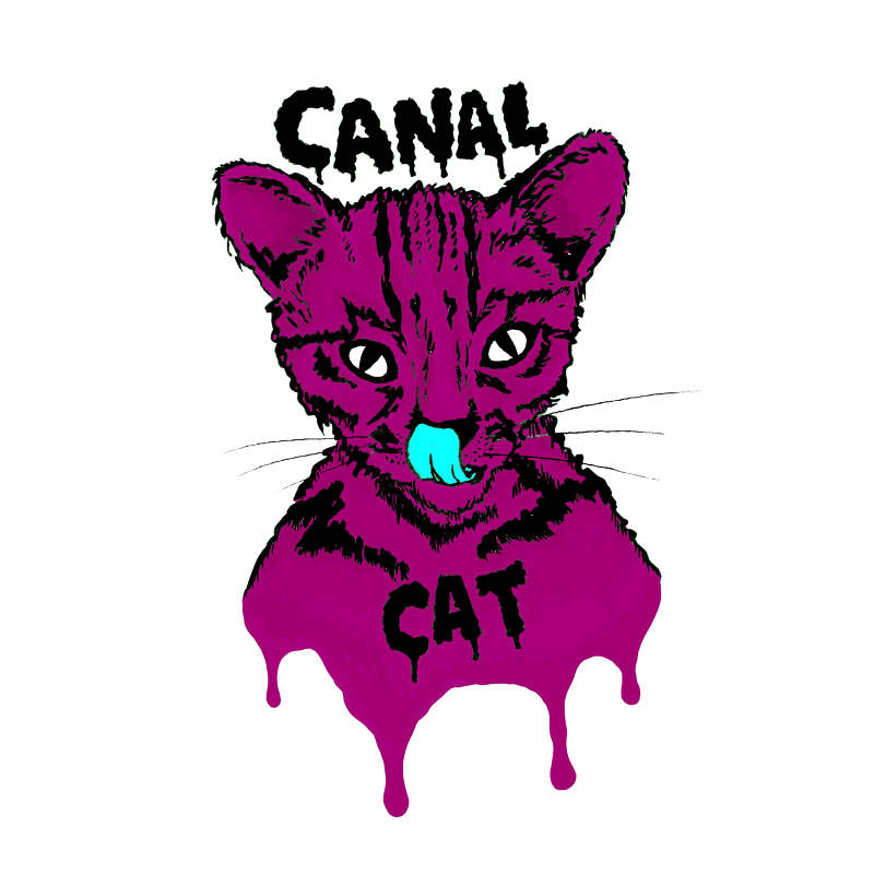 Canal Cat - Danielle Fejer