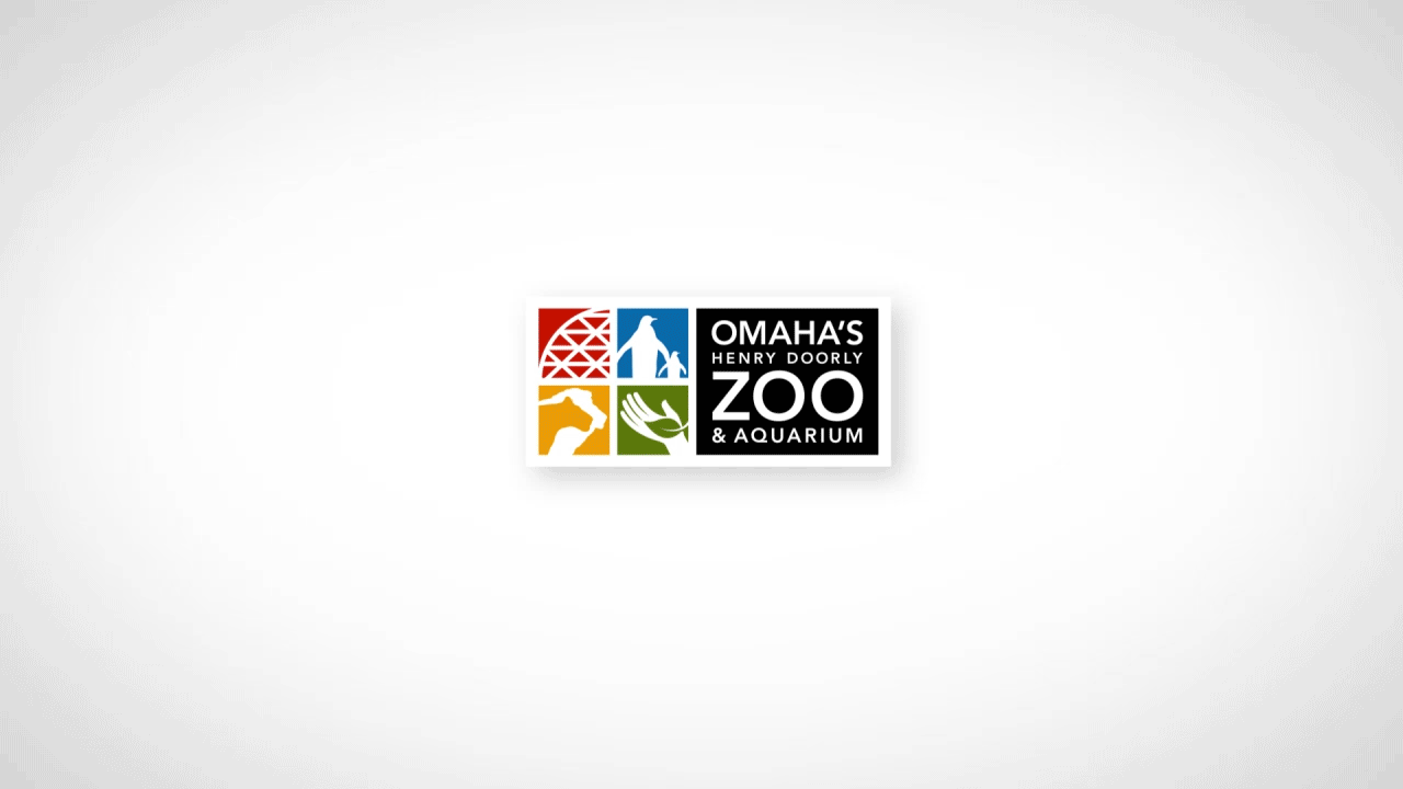 Omaha Zoo - Graphis Logo: Gold - Ethel Fong