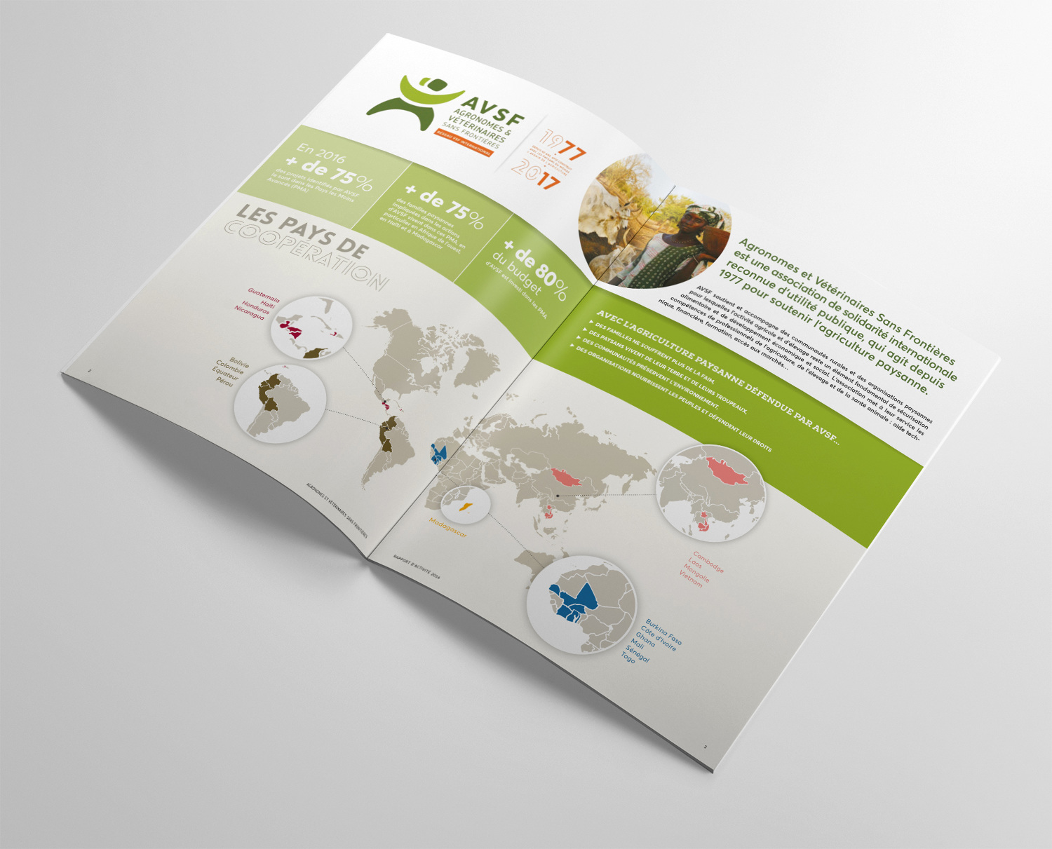 AVSF Annual Report - OOII UX UI WEB DA - 2020 - Romain Bergaentzlé