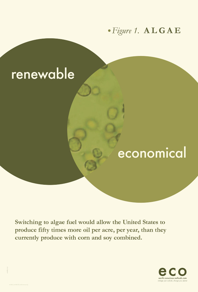 Algae Fuel Poster Series - Nina Haglund Design