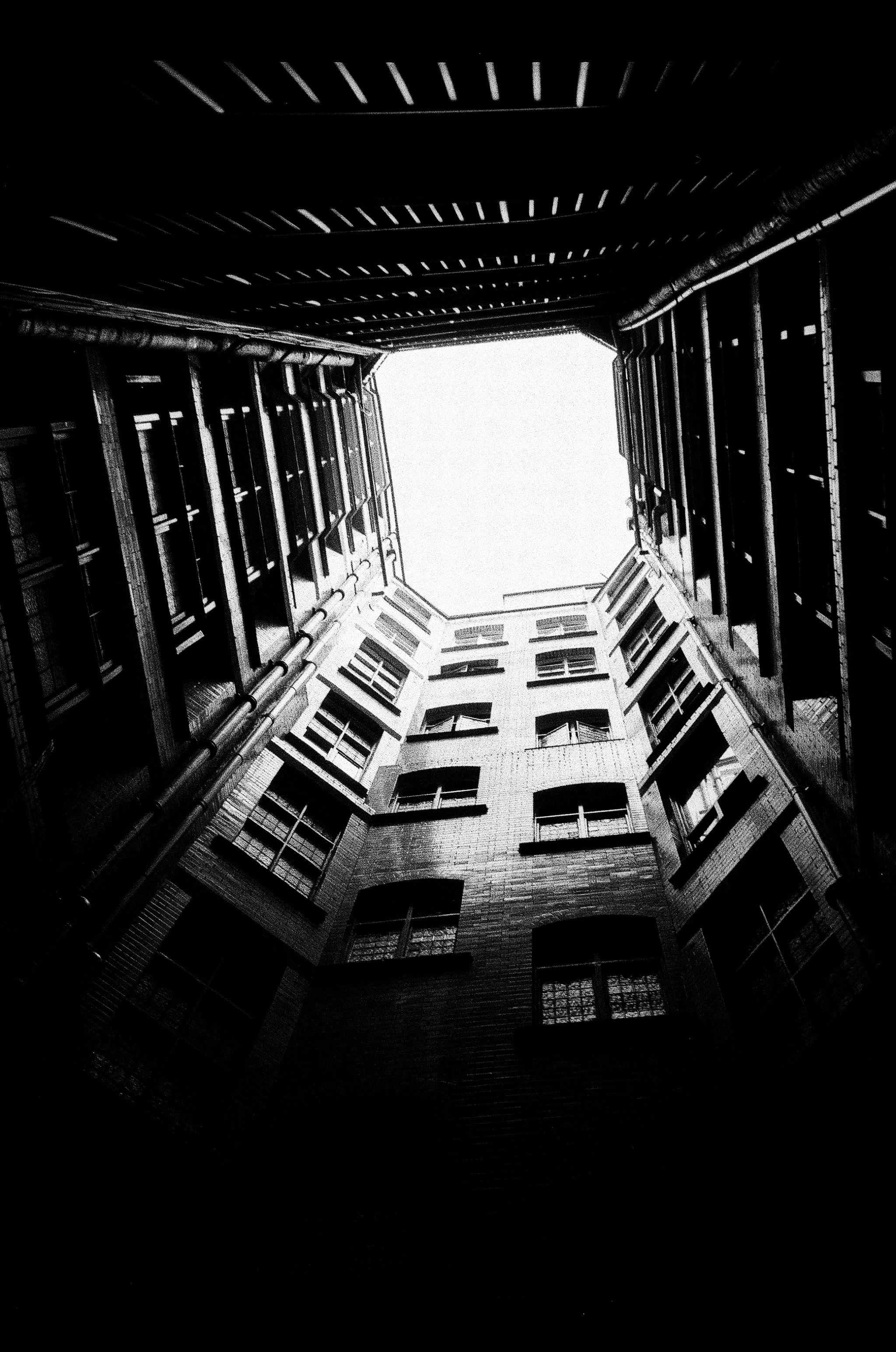 Photography: Looking Up - MaP Urbanism Studio