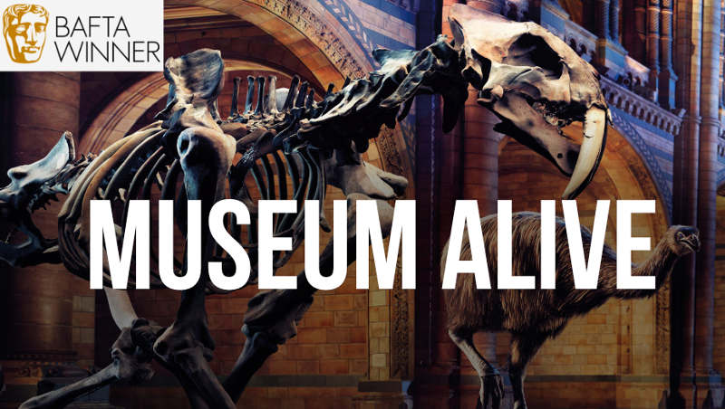 Museum Alive - creative