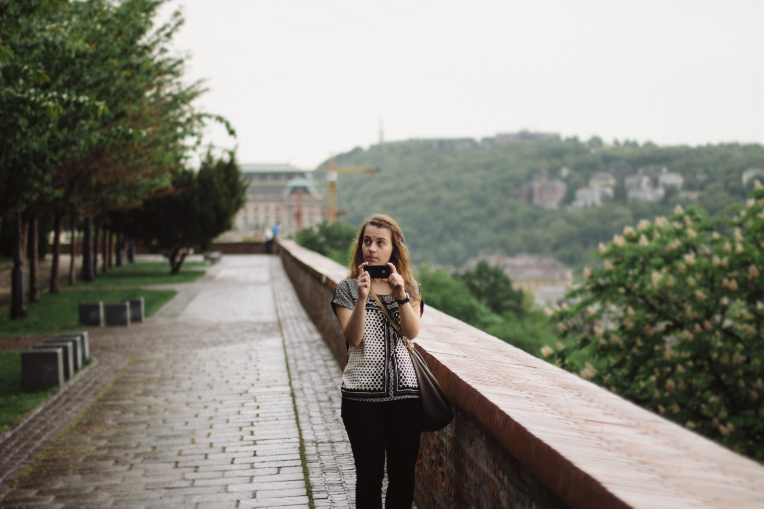 Budapest - Nick Colvin | Art Direction & Design