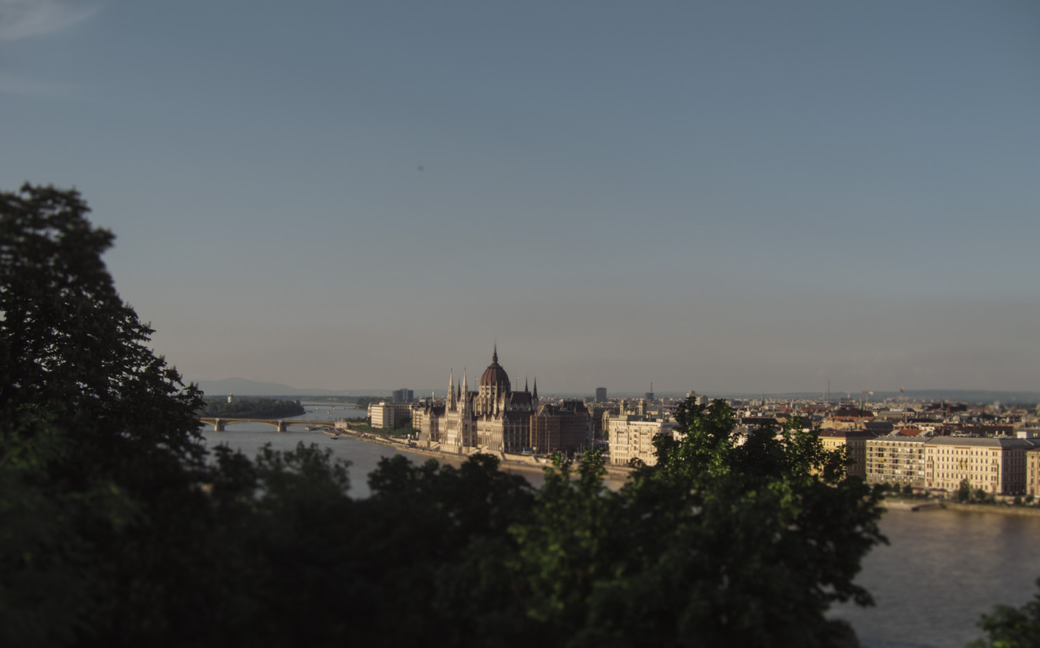 Budapest - Nick Colvin | Art Direction & Design