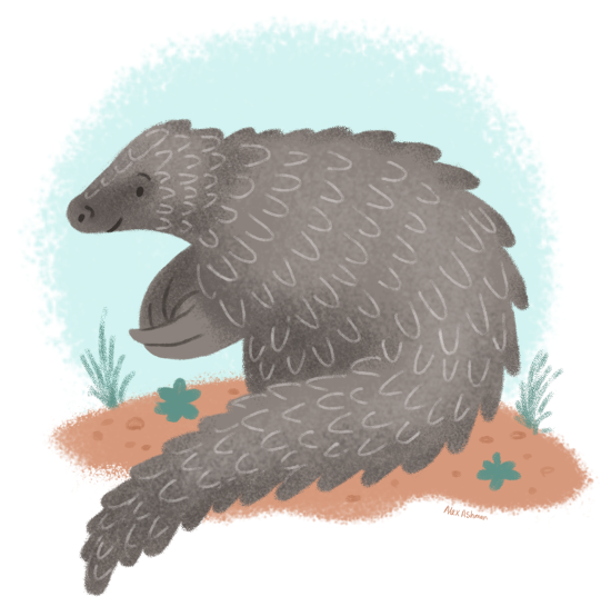 Alex Ashman Illustration & Design