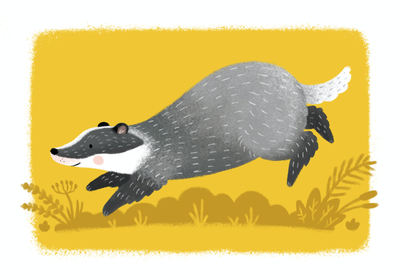Badger - Alex Ashman Illustration & Design